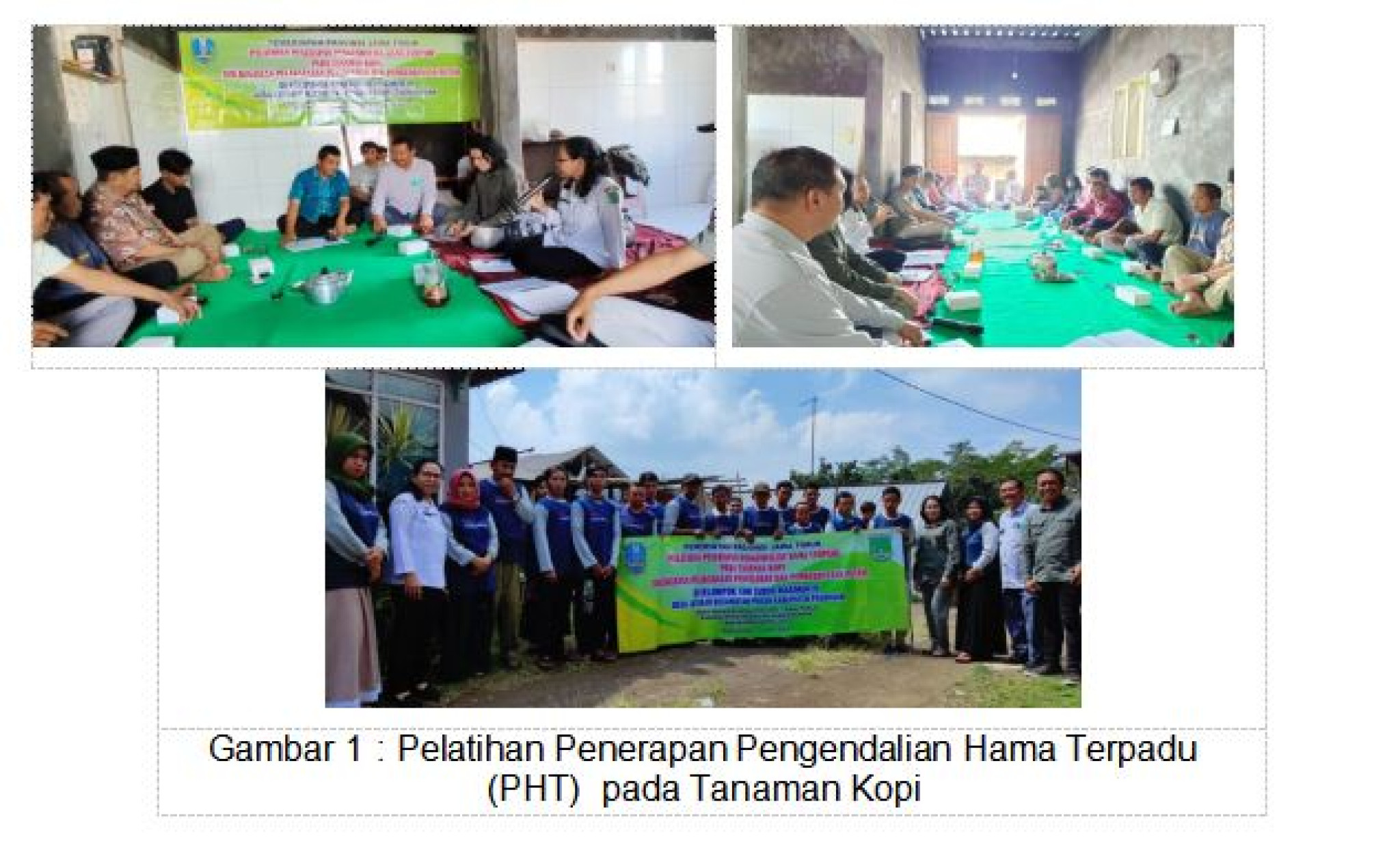 IMPLEMENTASI PENGENDALIAN HAMA TERPADU (PHT) DI KELOMPOK TANI SUBUR ...